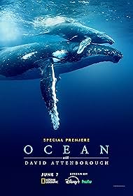 Ocean with David Attenborough (2025) - Watch Free Online | M4uHD